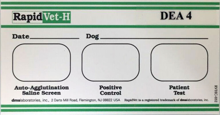 Blood Typing – RapidVet