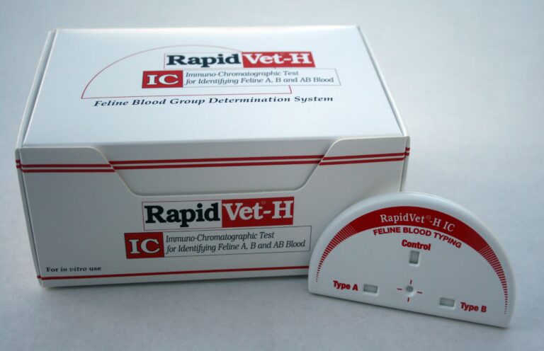Blood Typing – RapidVet